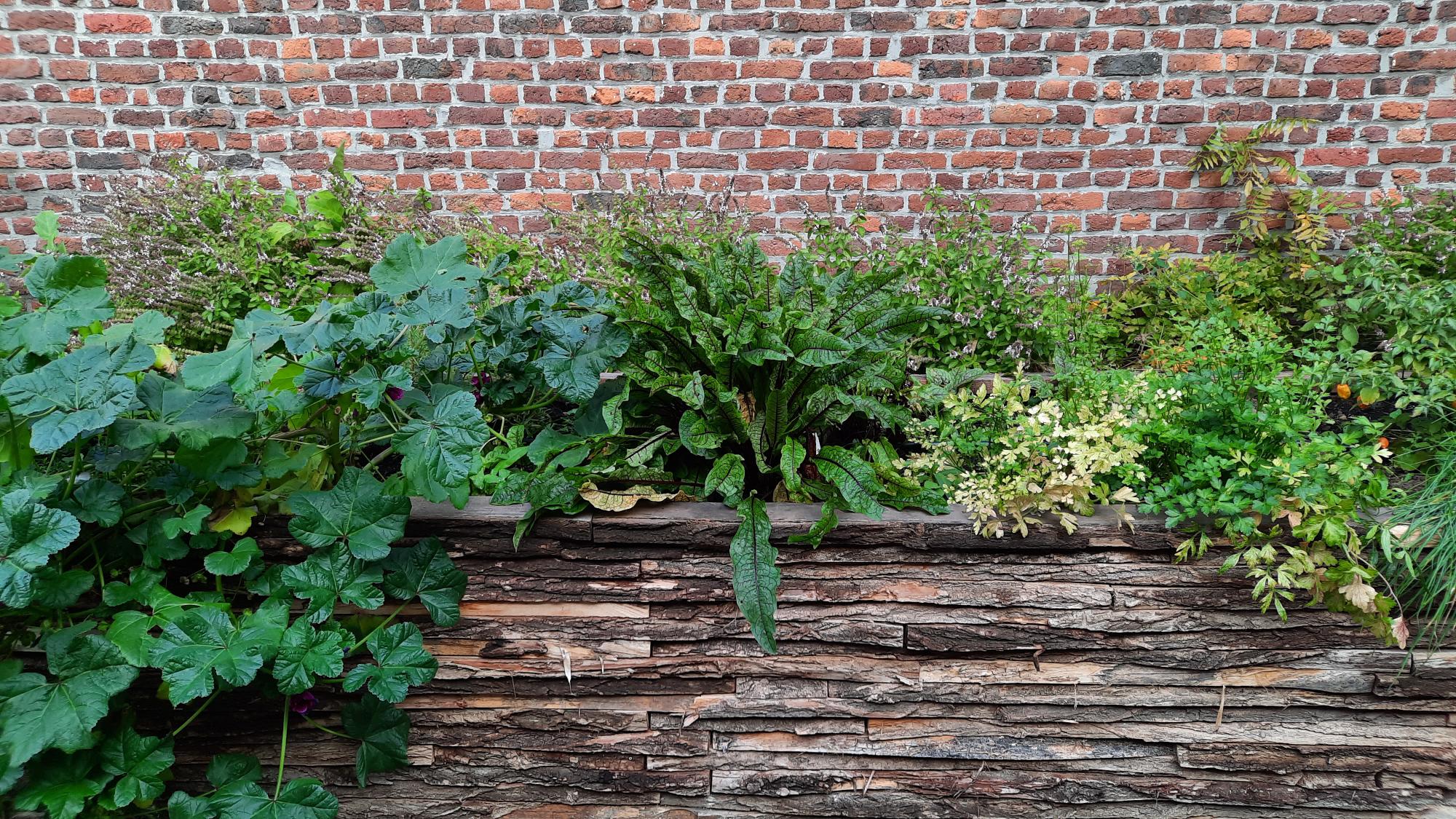 Transition alimentaire – Jefar